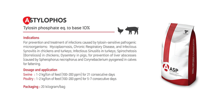 Swine Products - ASP Thailand - Animal Supplement and Pharmaceutical Co ...