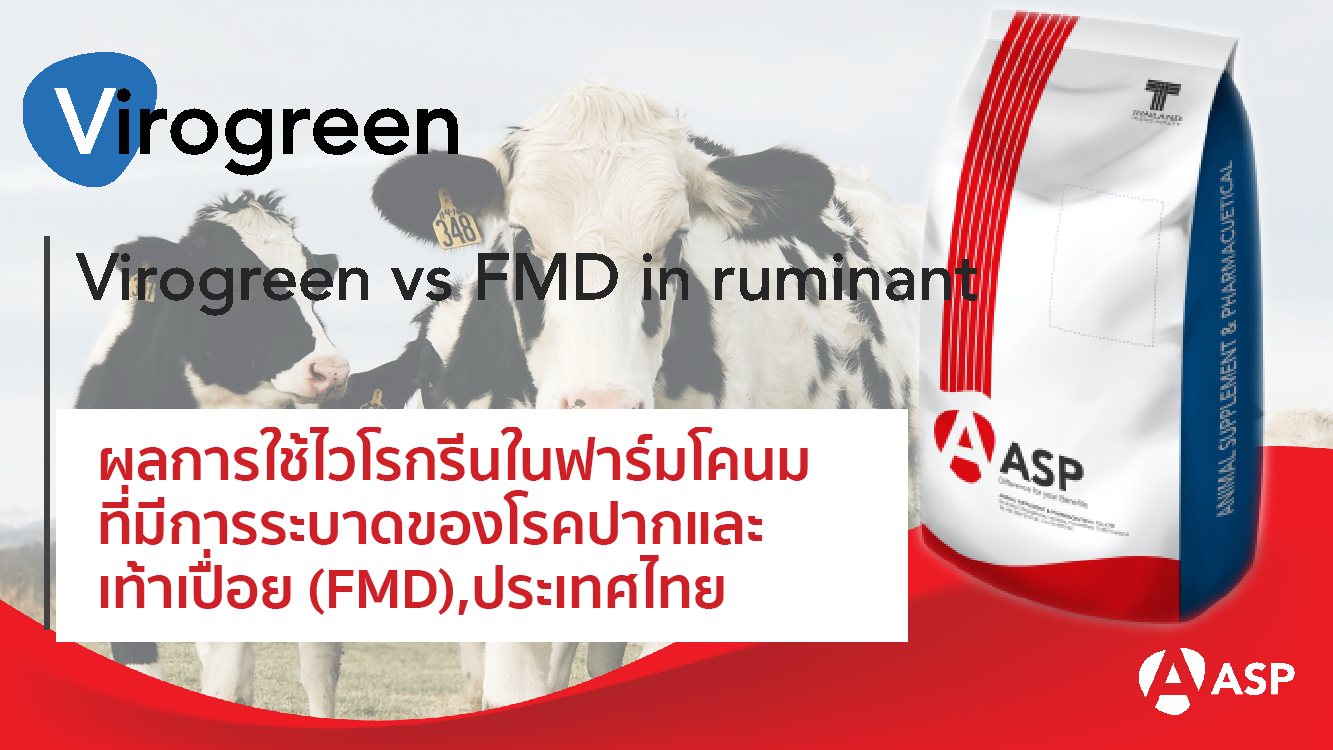 Effect of Virogreen to reduce morbidity rate of dairy cows on Foot and ...