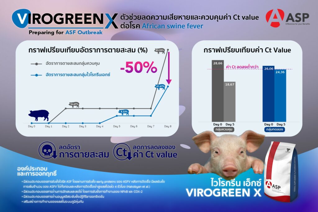 African swine fever is caused by virus infection - ASP Thailand ...