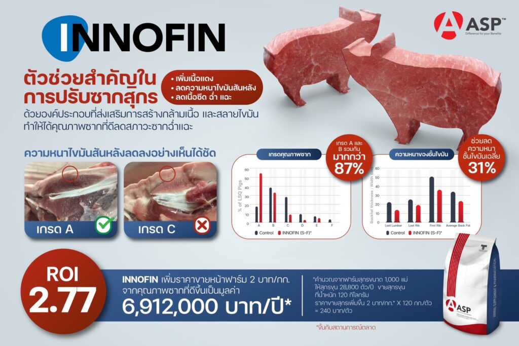 INNOFIN is the helper in reducing back fat, pale-soft-exudated, and ...