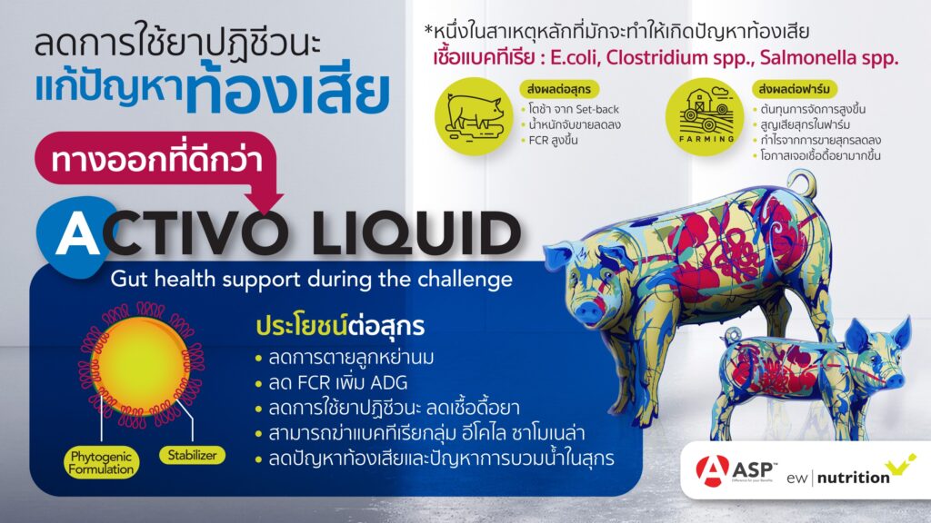 แอคติโว ลิควิด(Activo liquid) เป็นผลิตภัณฑ์เสริมความแข็งแรงของลำไส้ แก้ ...